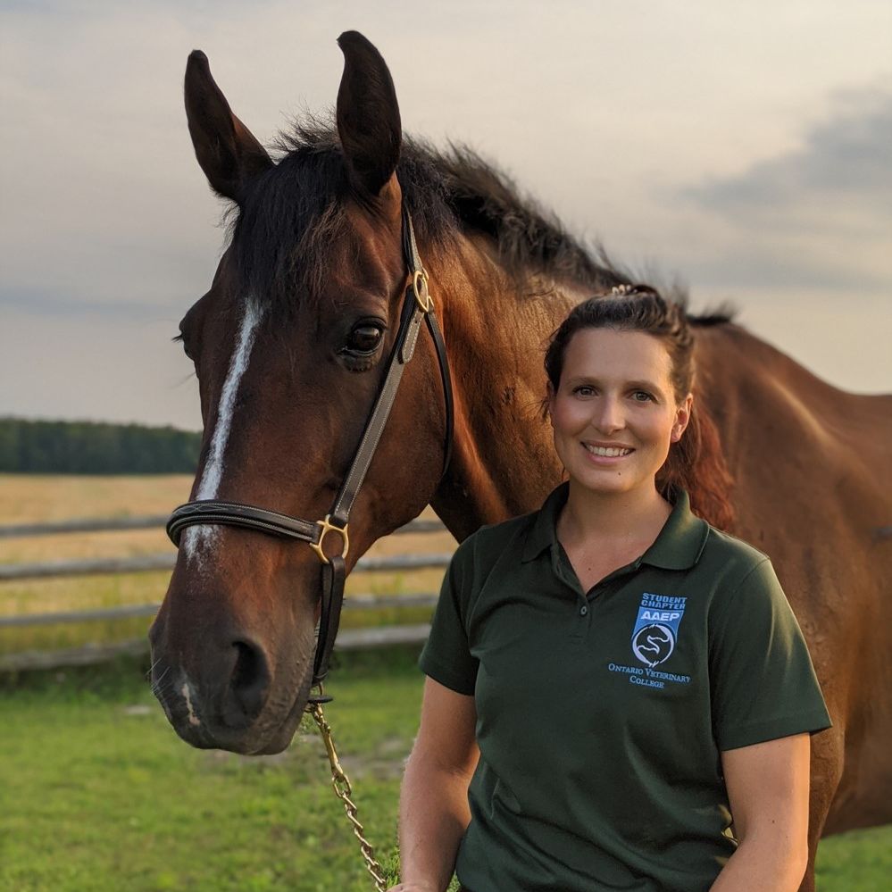 Walkerton Equine Clinic - About Us