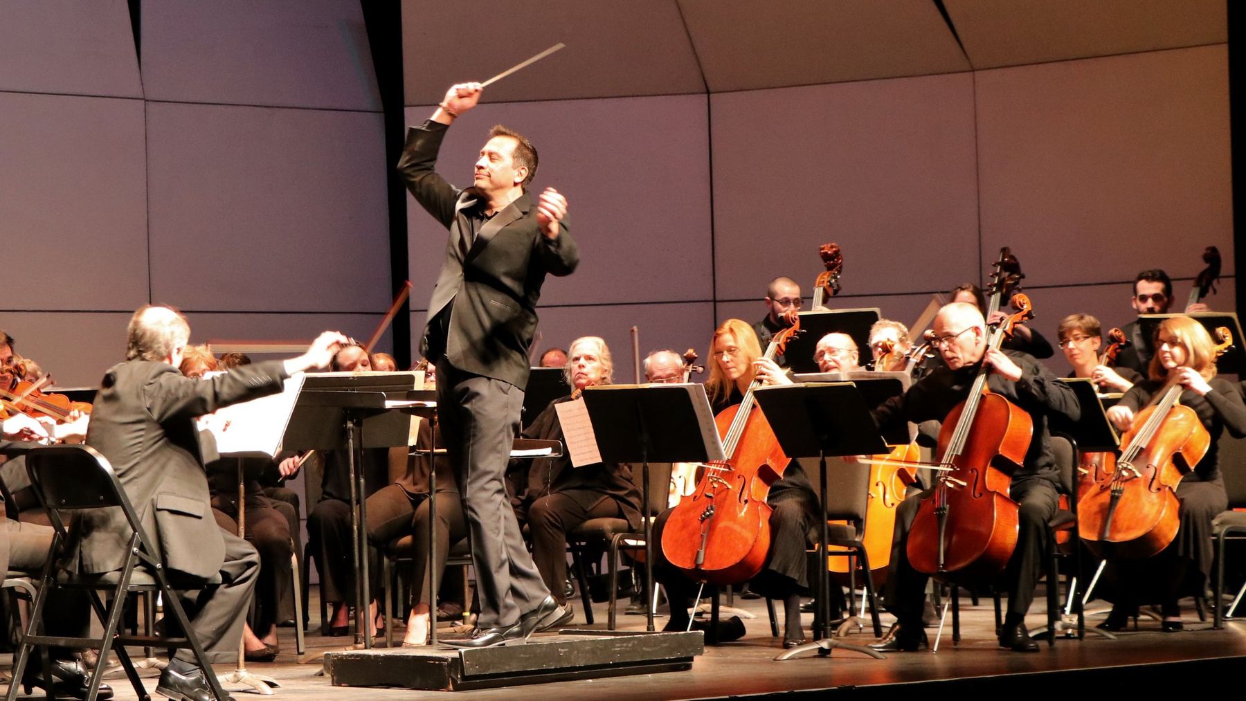 Binghamton Philharmonic Orchestra - Musicians