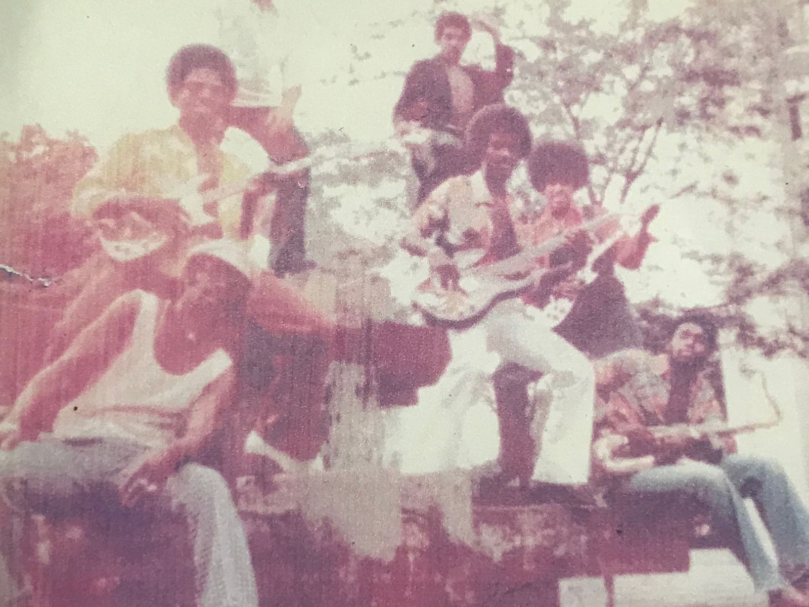 Tee Dee Young - Gallery