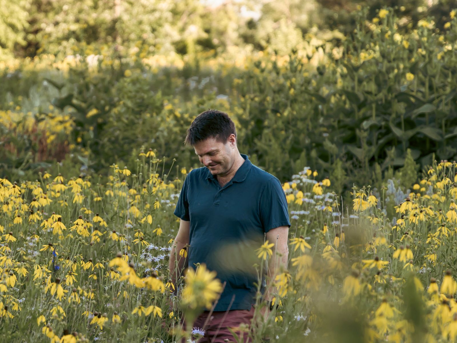 The Persian Leaps - Photos