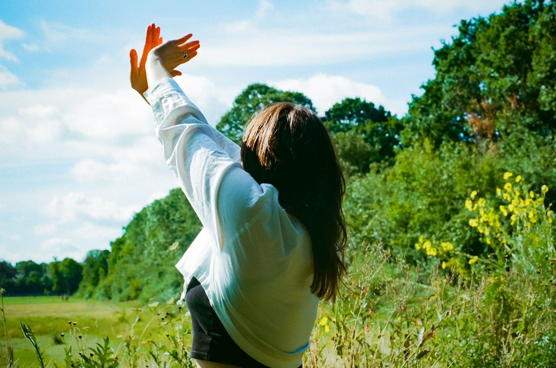 Dominie Hooper - Store