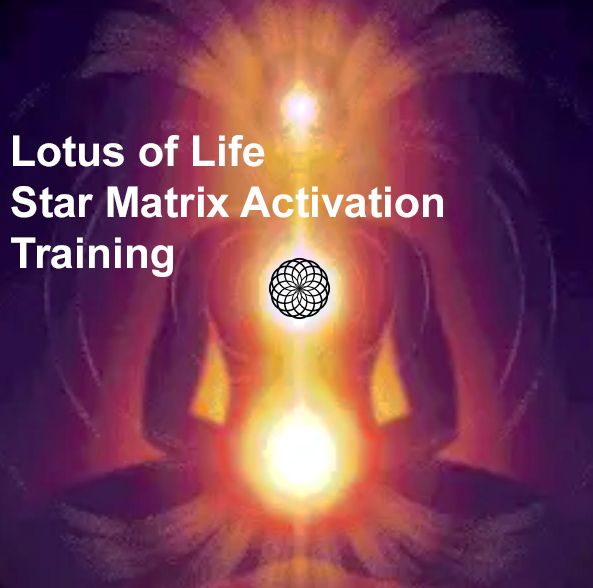 Sustainable Oneness Spiritual Alliance - Lotus of Life Registrations
