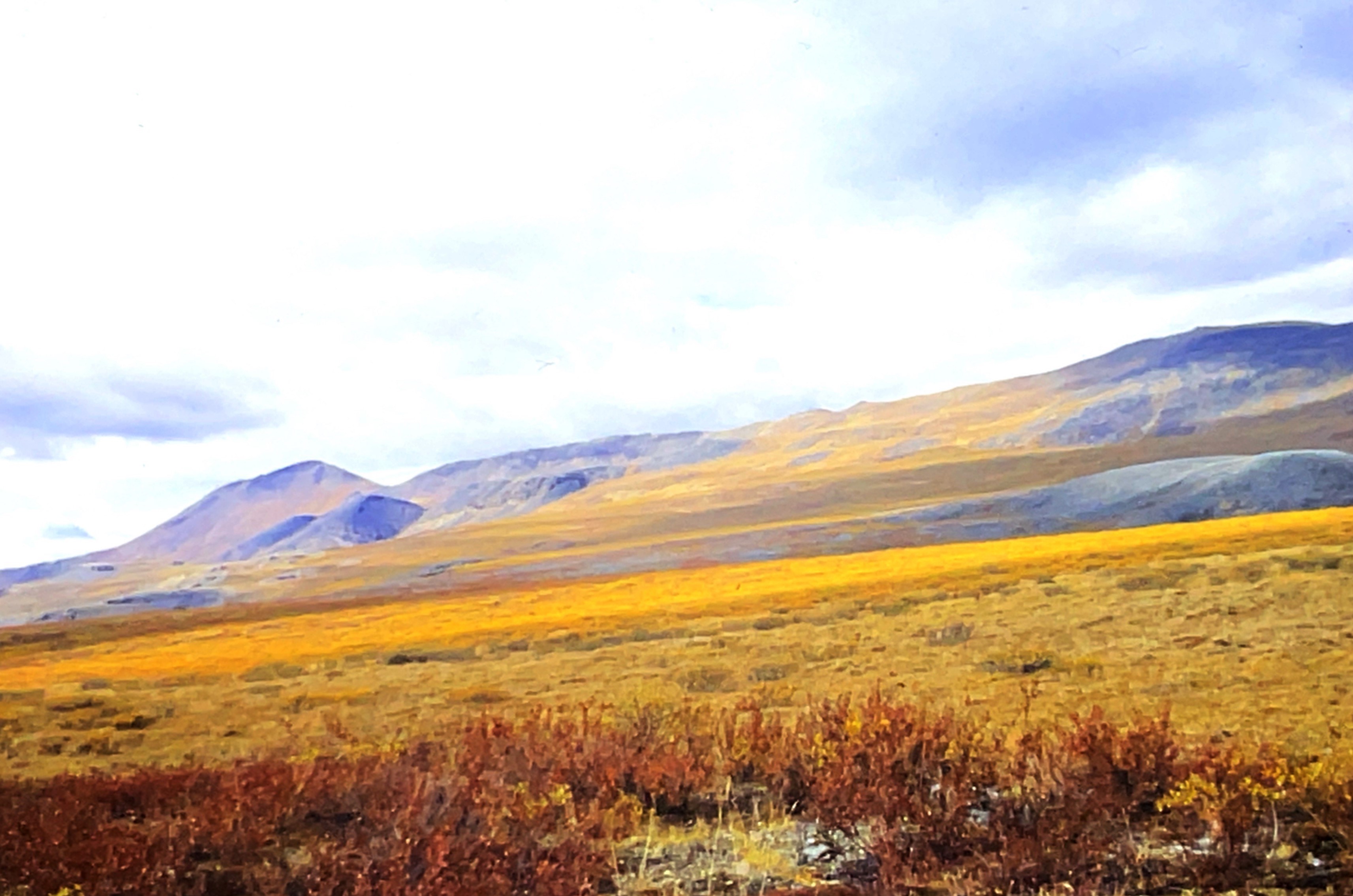 Journey to the Arctic and a Plea For Solidarity in the Gwich'in Struggle