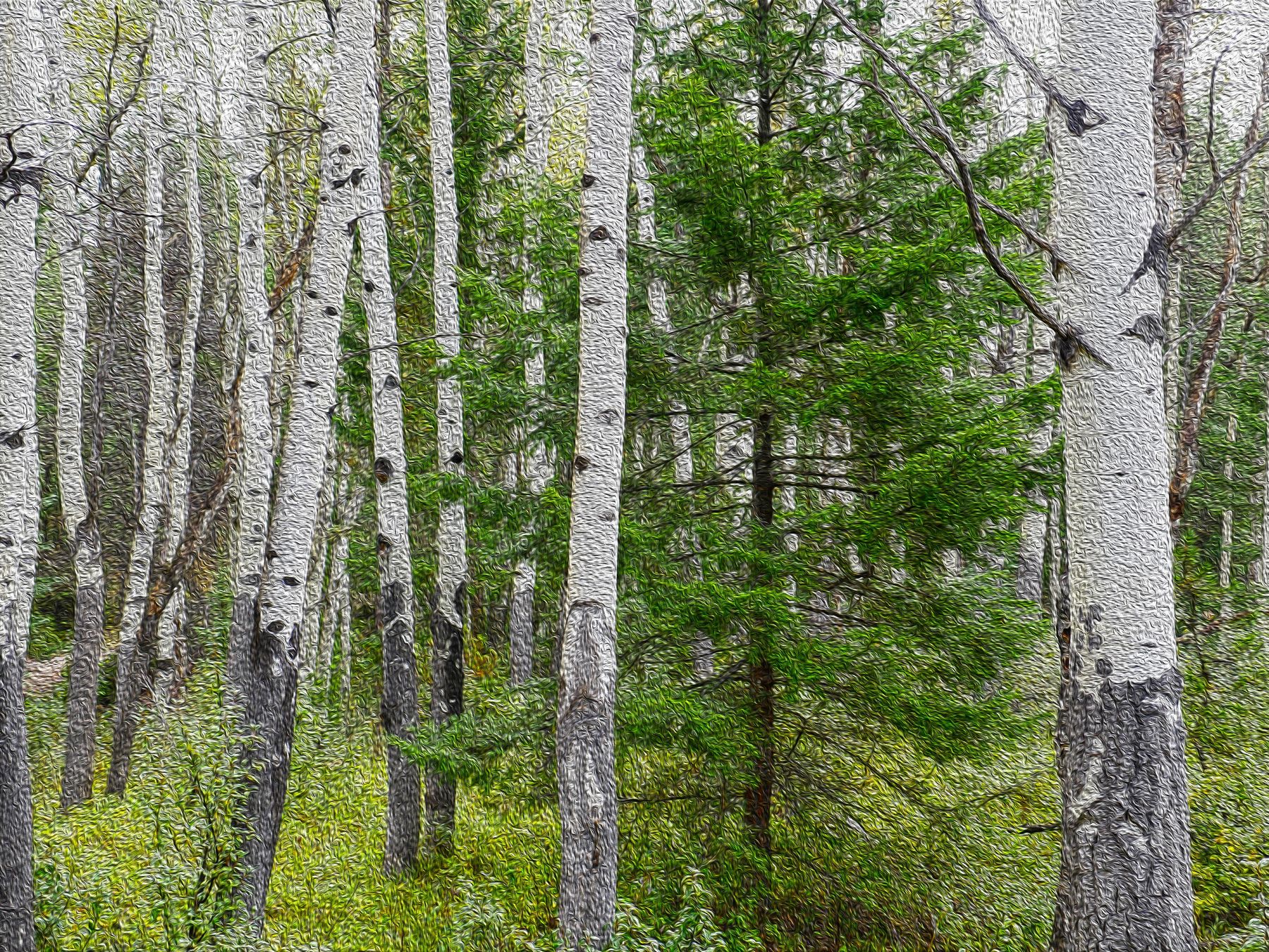 Brian Streicher - About