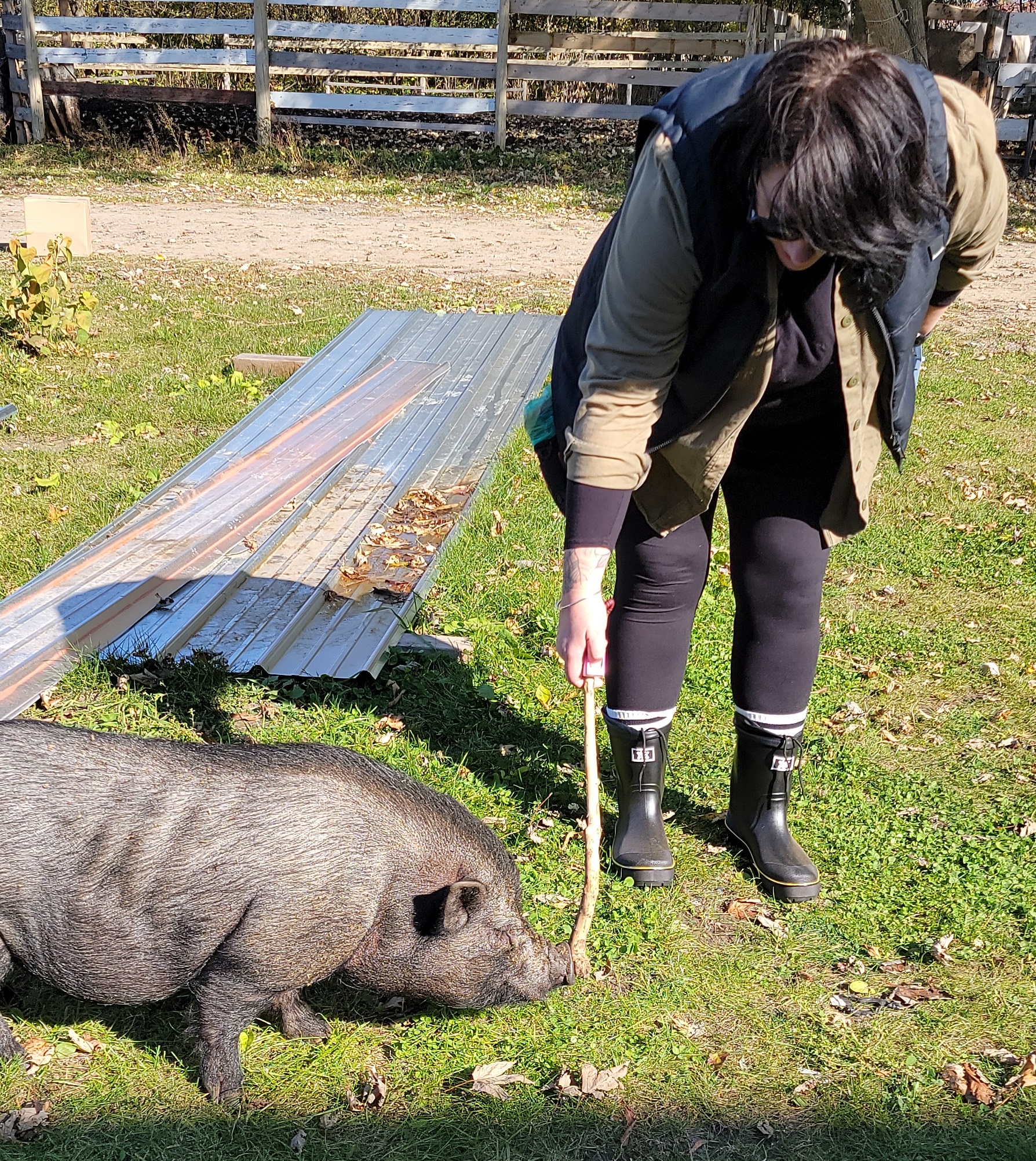 Behaviorism in Dog Training: The Simultaneous Roles of Classical and ...