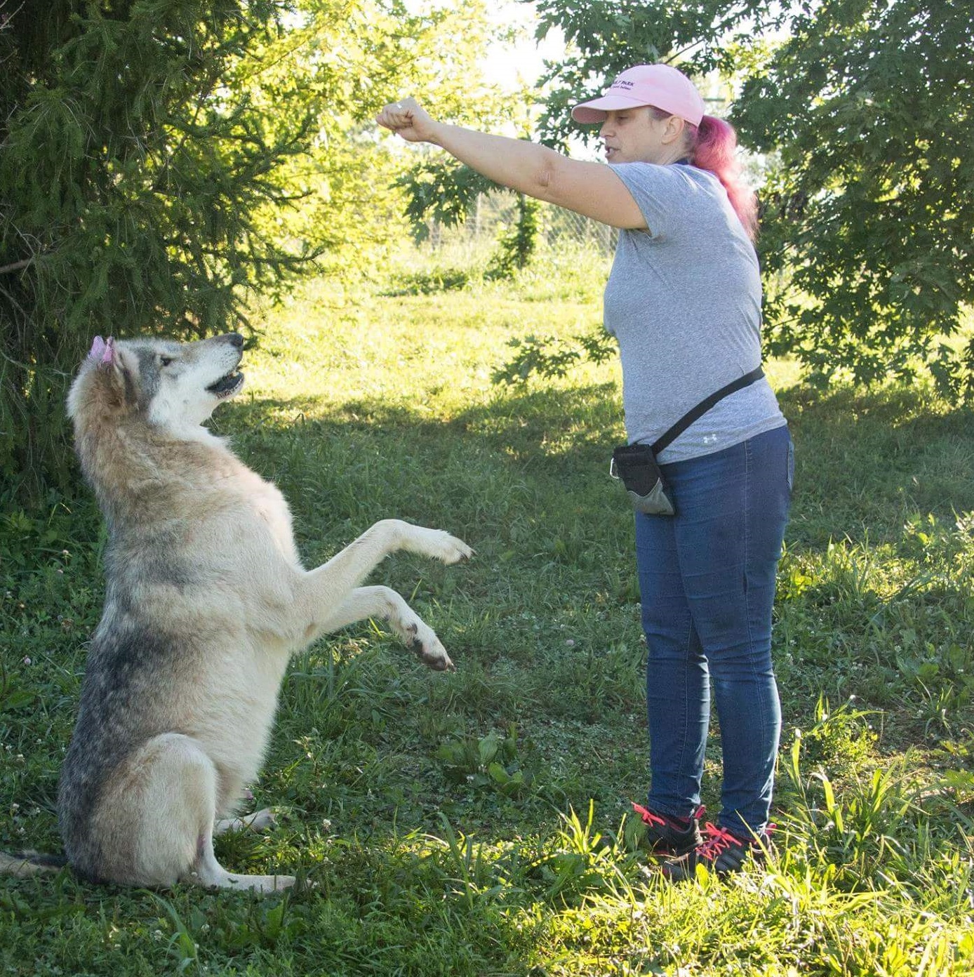 Aversion Training: The Dark Side of Behaviourism