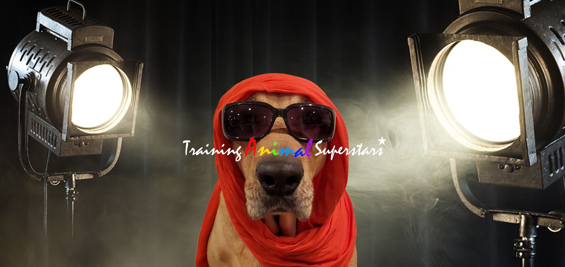 Behaviorism in Dog Training: The Simultaneous Roles of Classical and ...