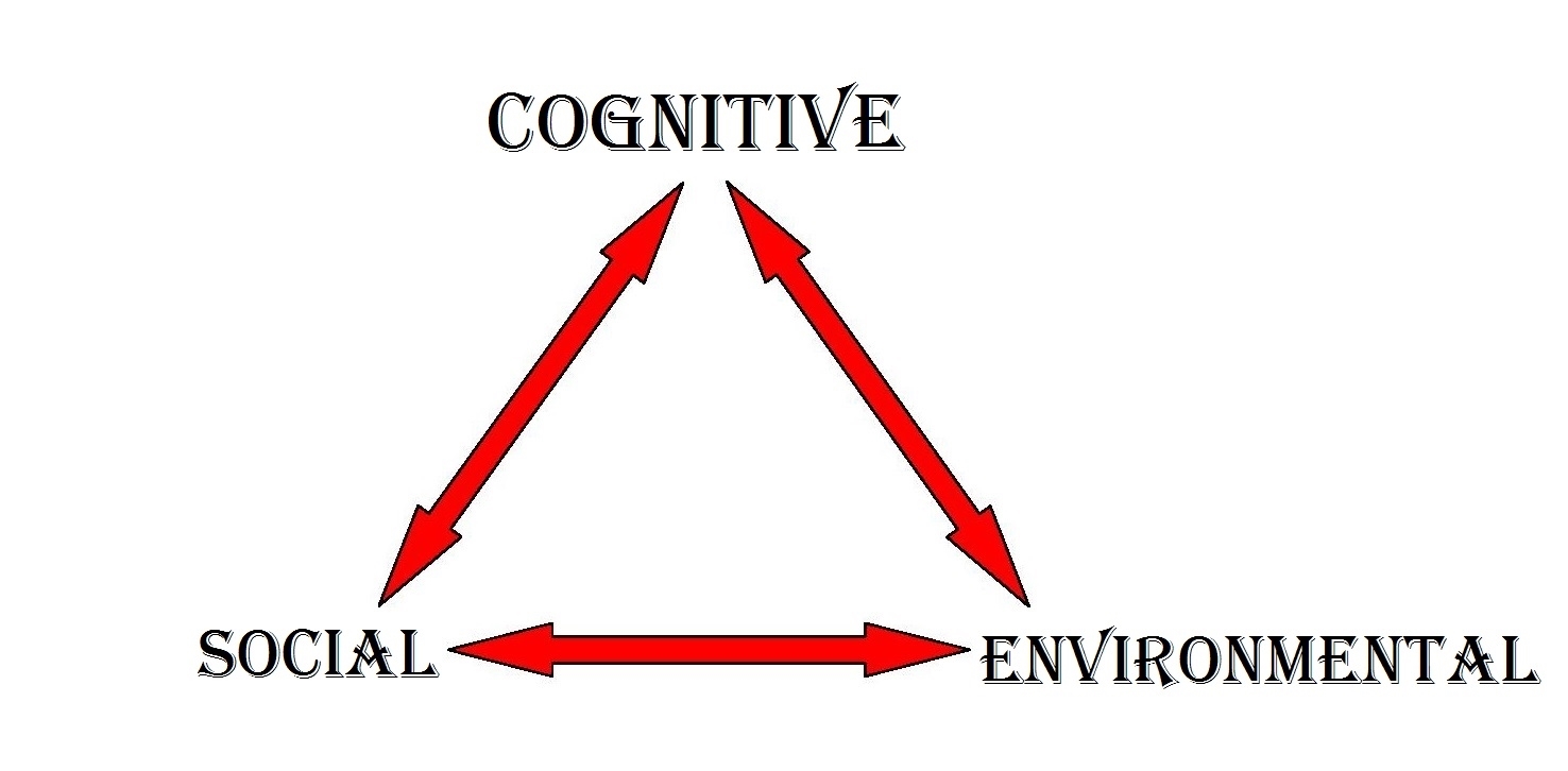 The Plasticity of the Dog’s Brain and Its Implications for Social ...