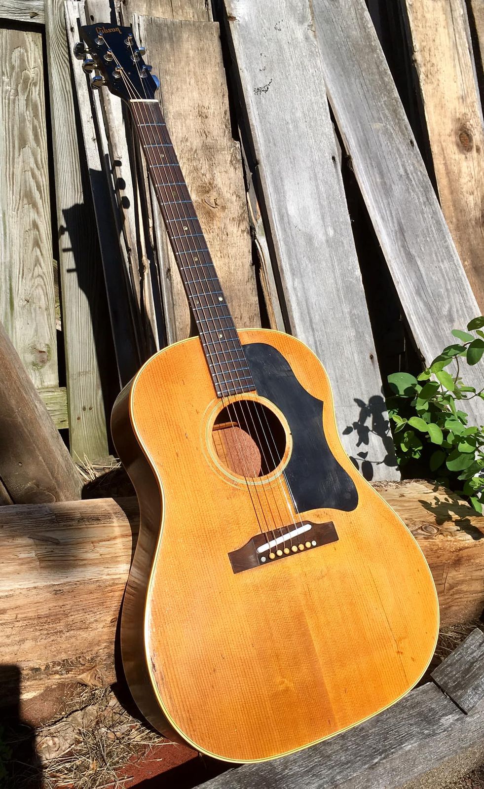 Greg Platzer Guitars - Repairs