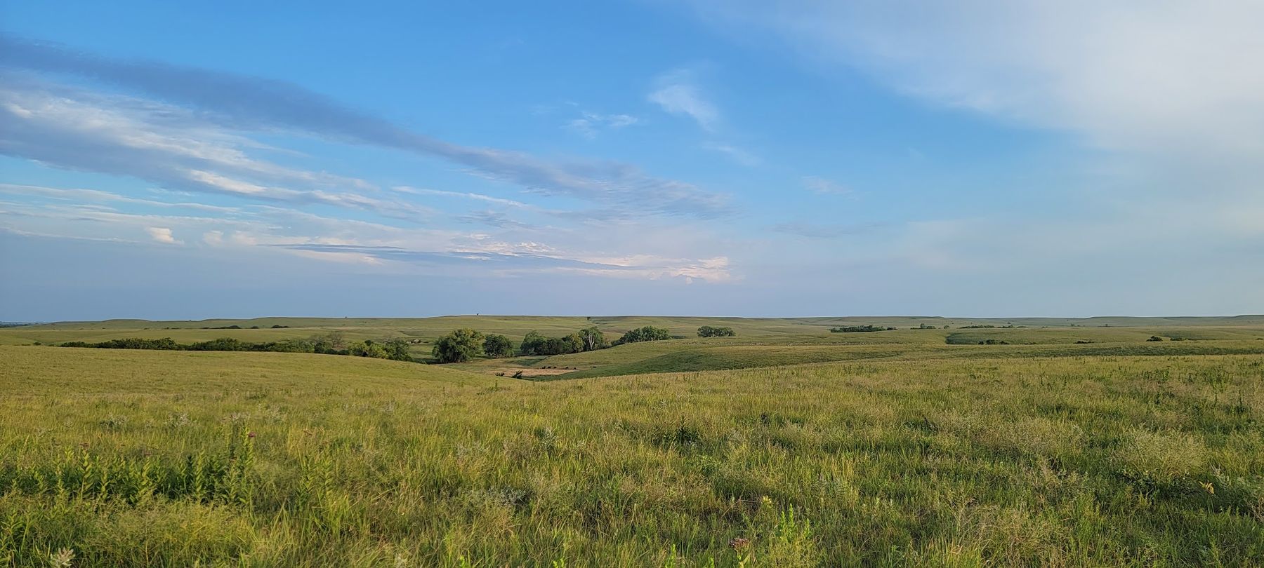 Tallgrass Express - Special Art of Ranching