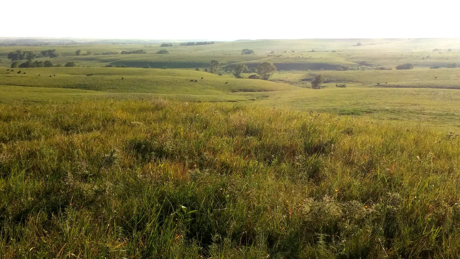 Tallgrass Express - The Flint Hills
