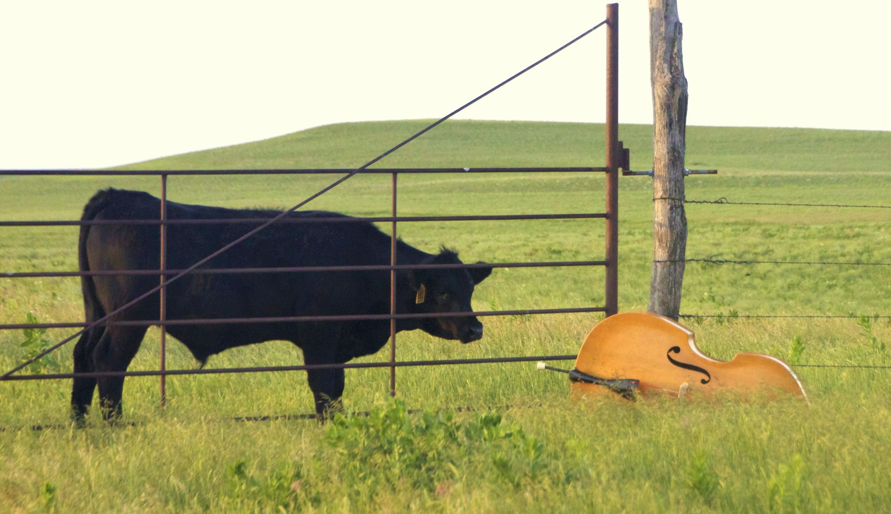 Tallgrass Express - Gallery