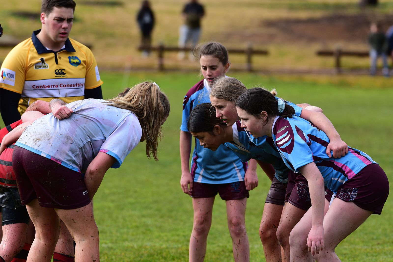 Wests Junior Lions - Photo Gallery