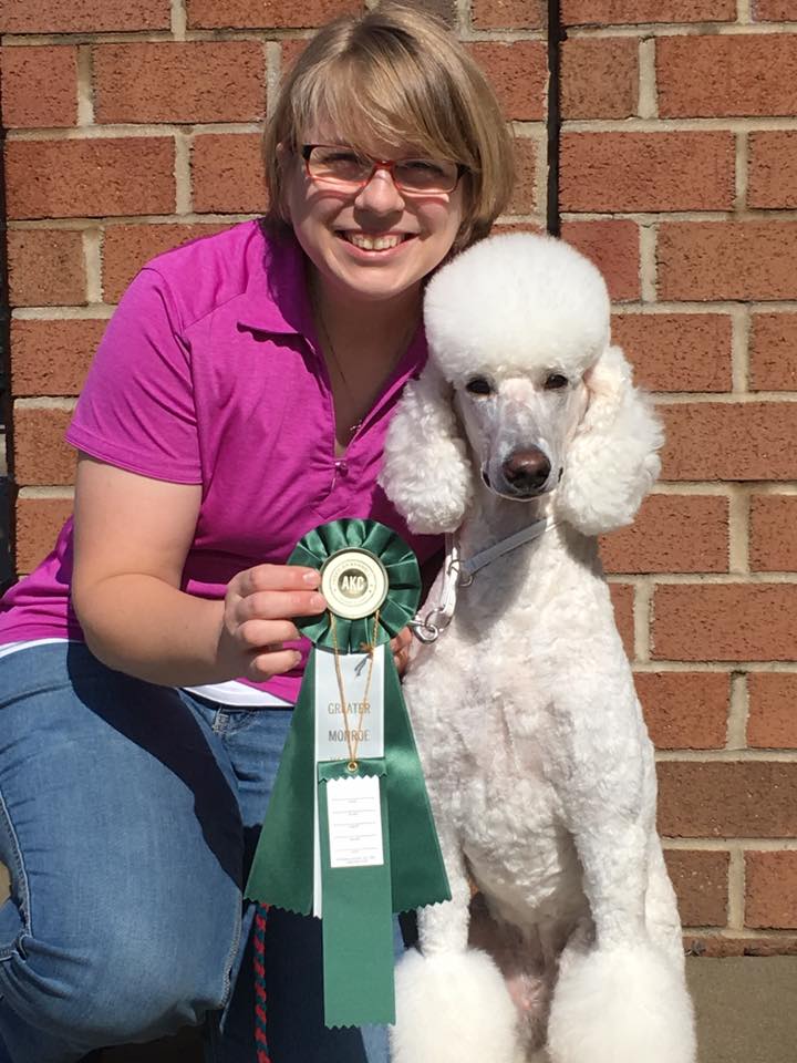 Lula, Lala and Millie's Latest Accomplishments!!