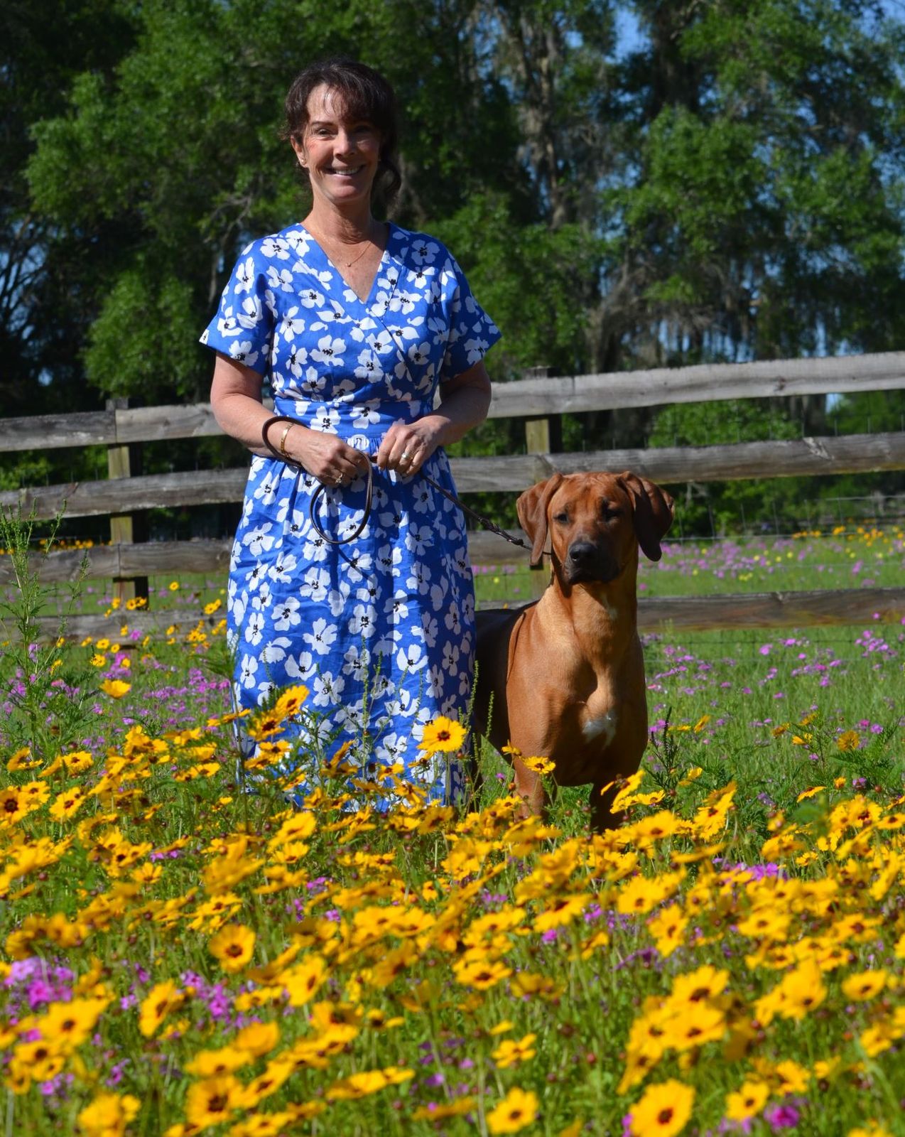 Kengali Rhodesian Ridgebacks - Friends 'n Family