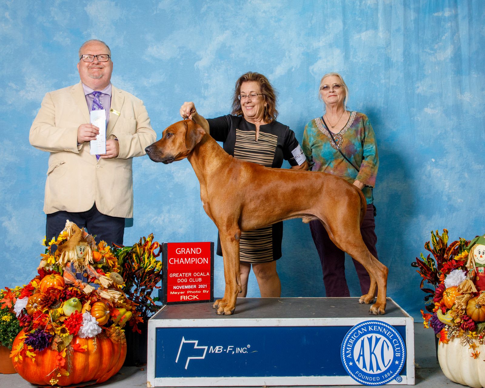 Kengali Rhodesian Ridgebacks - Huey