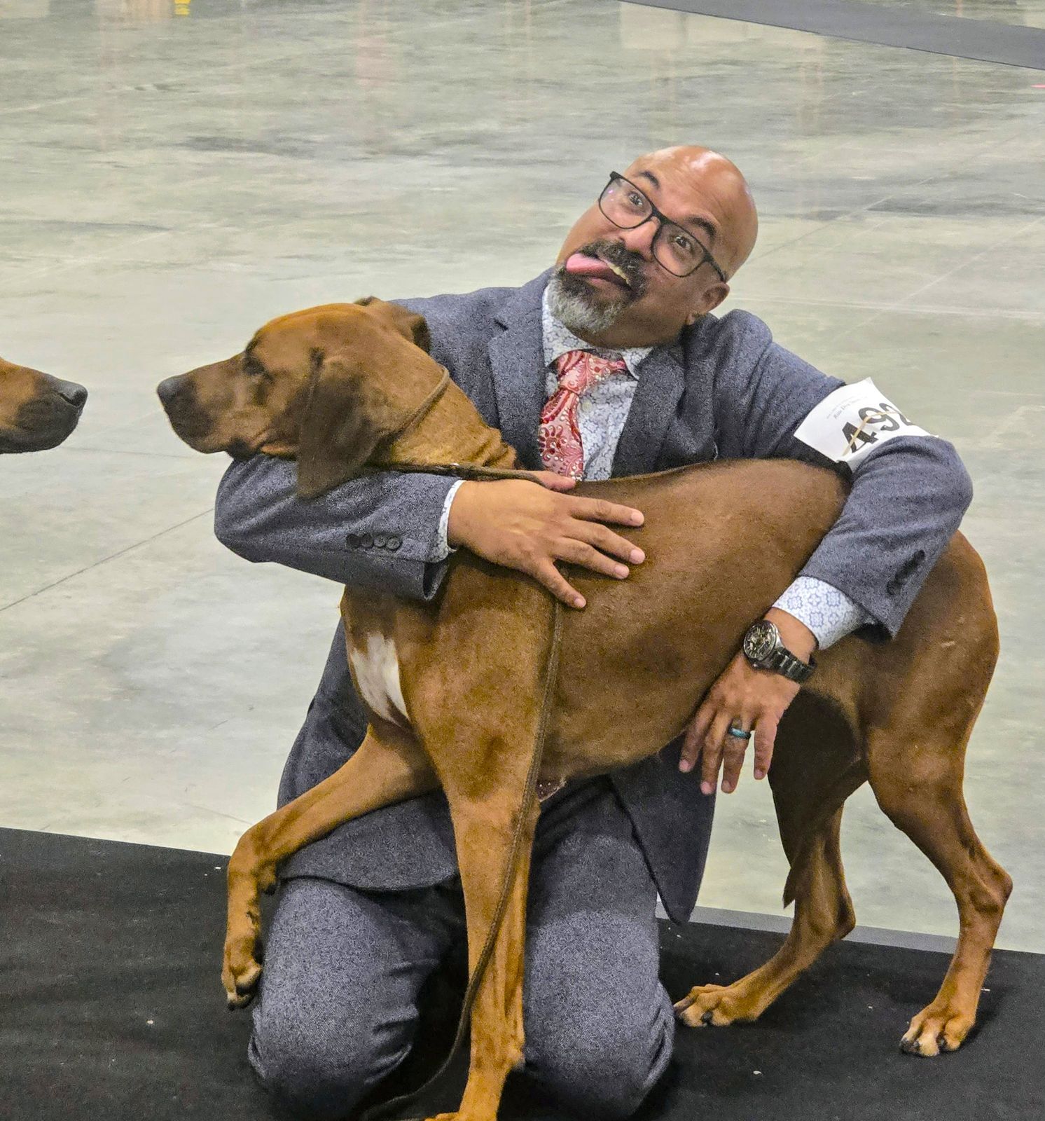 Kengali Rhodesian Ridgebacks