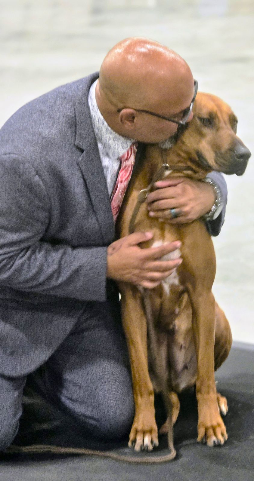 Kengali Rhodesian Ridgebacks