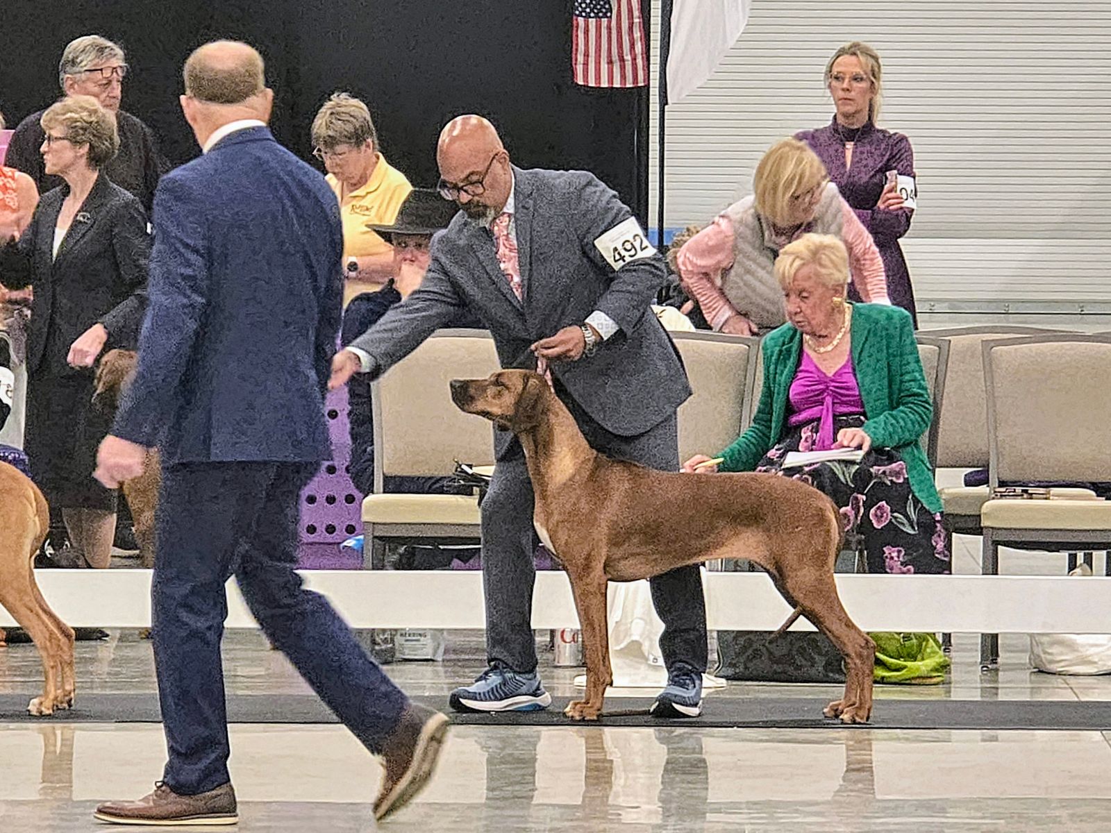 Kengali Rhodesian Ridgebacks
