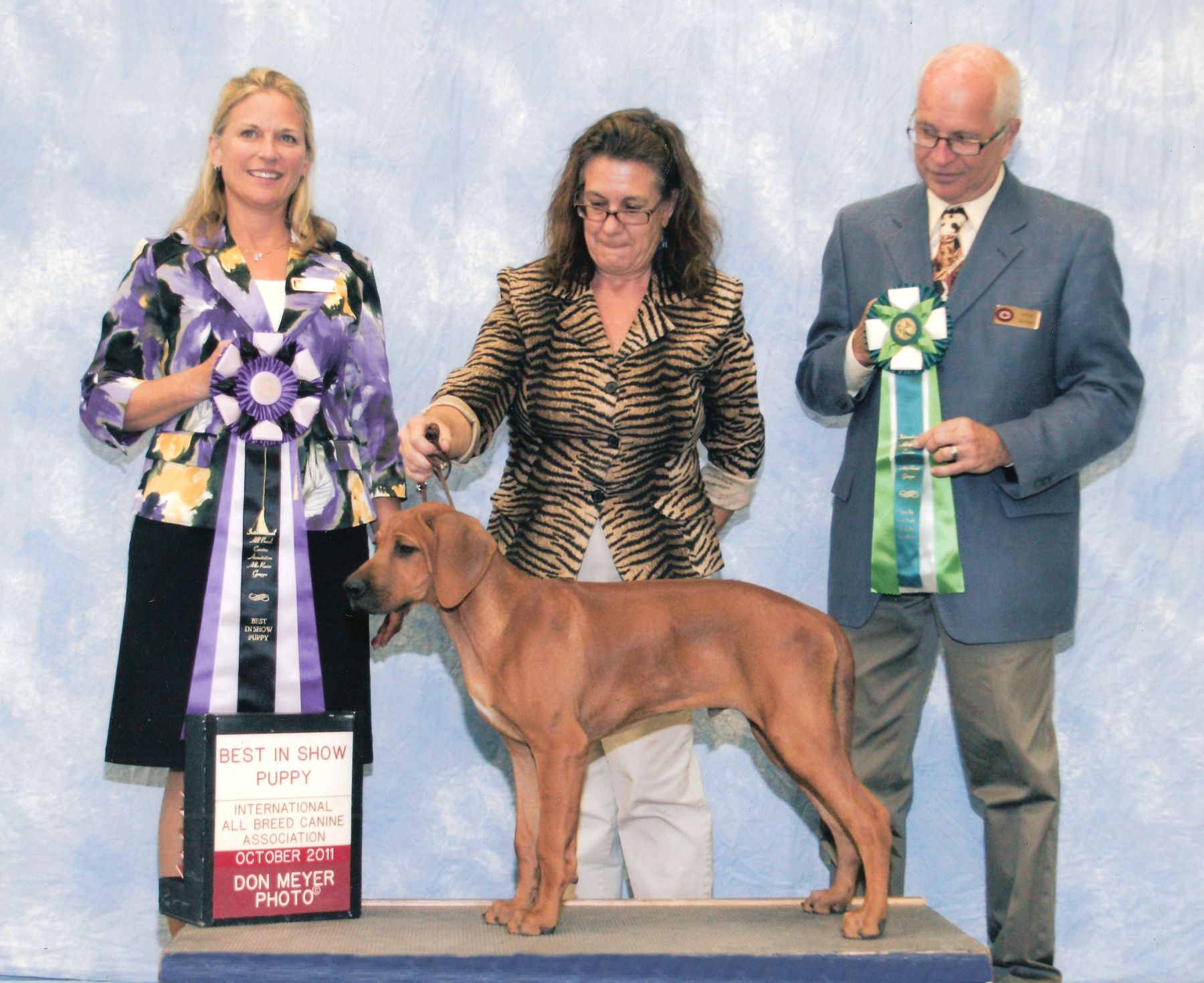 Kengali Rhodesian Ridgebacks - Puppy Training
