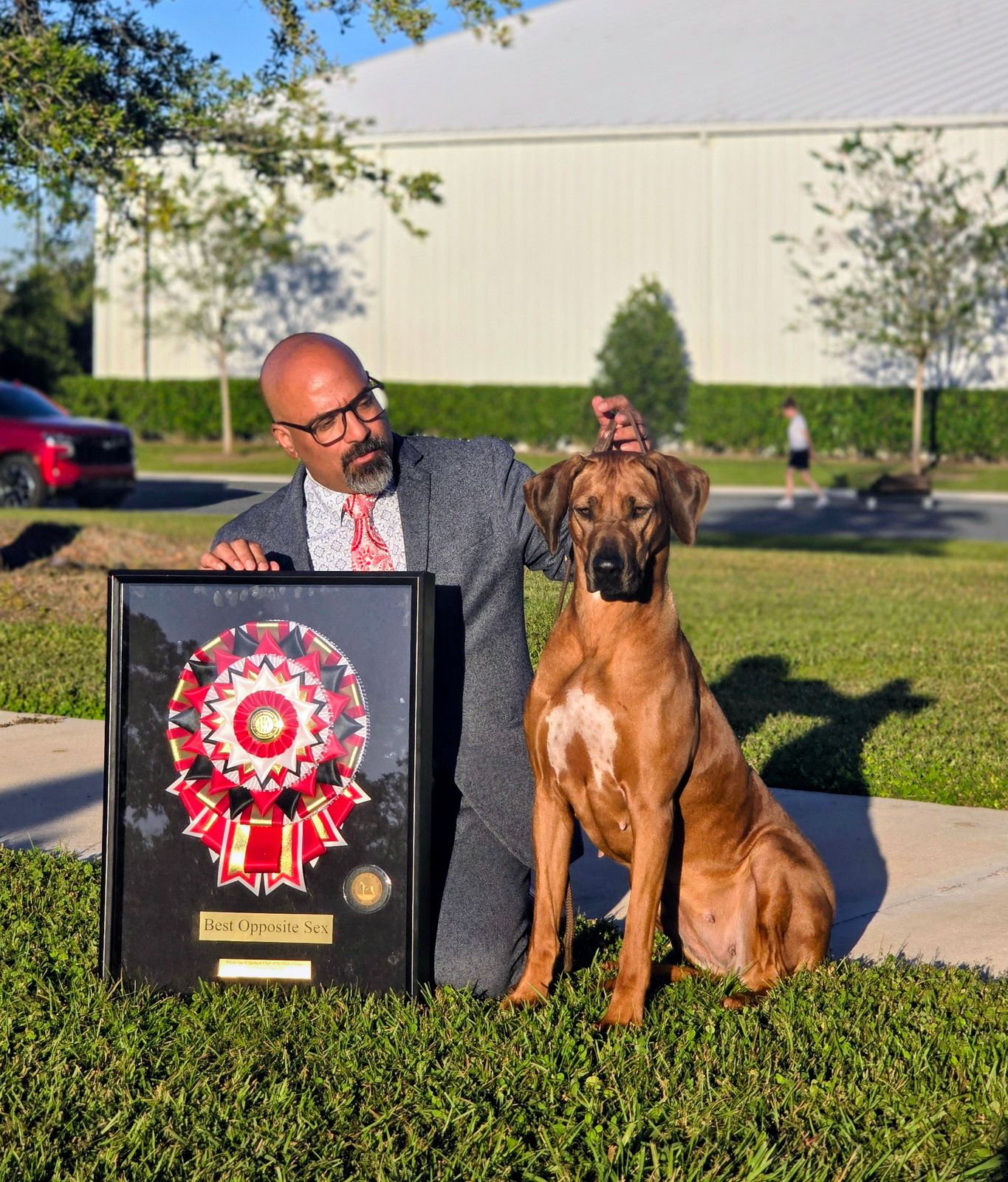 Kengali Rhodesian Ridgebacks