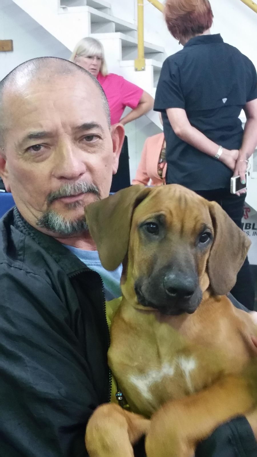 Kengali Rhodesian Ridgebacks - BONO!