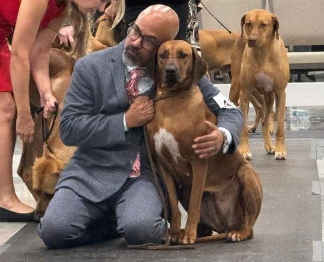 Kengali Rhodesian Ridgebacks