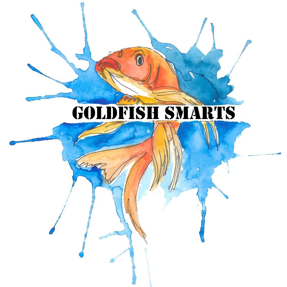 Goldfish Smarts - Photos