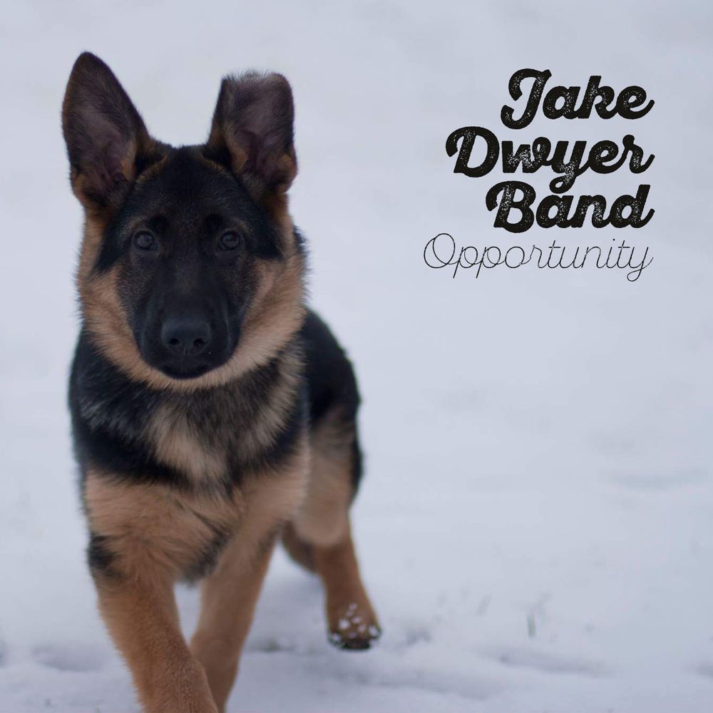 Jake Dwyer Band