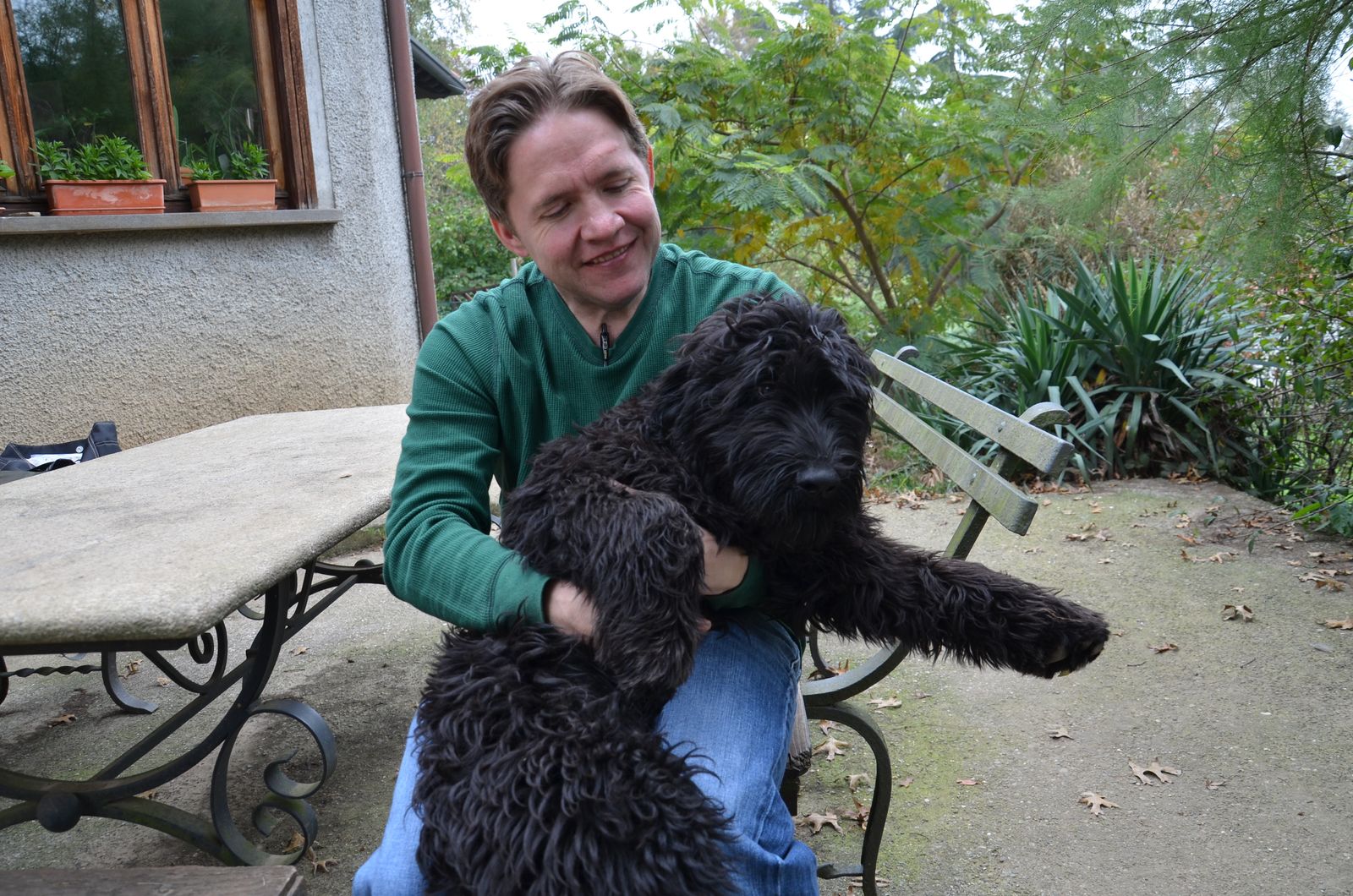 Windy Hill Bergamascos Photo Gallery