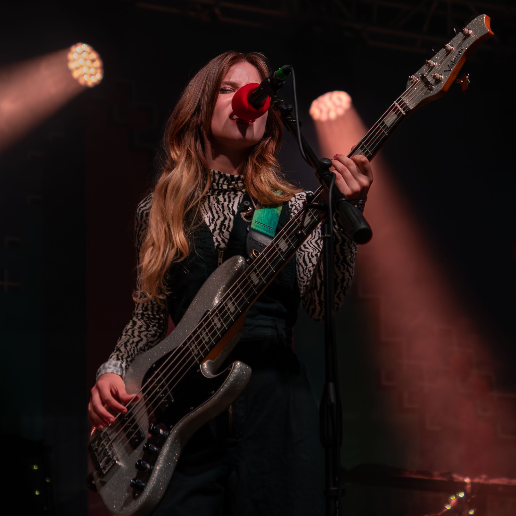 The Burney Sisters - Bio