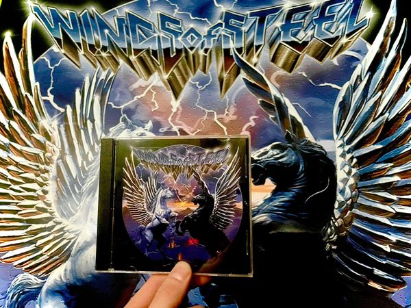 Wings of Steel
