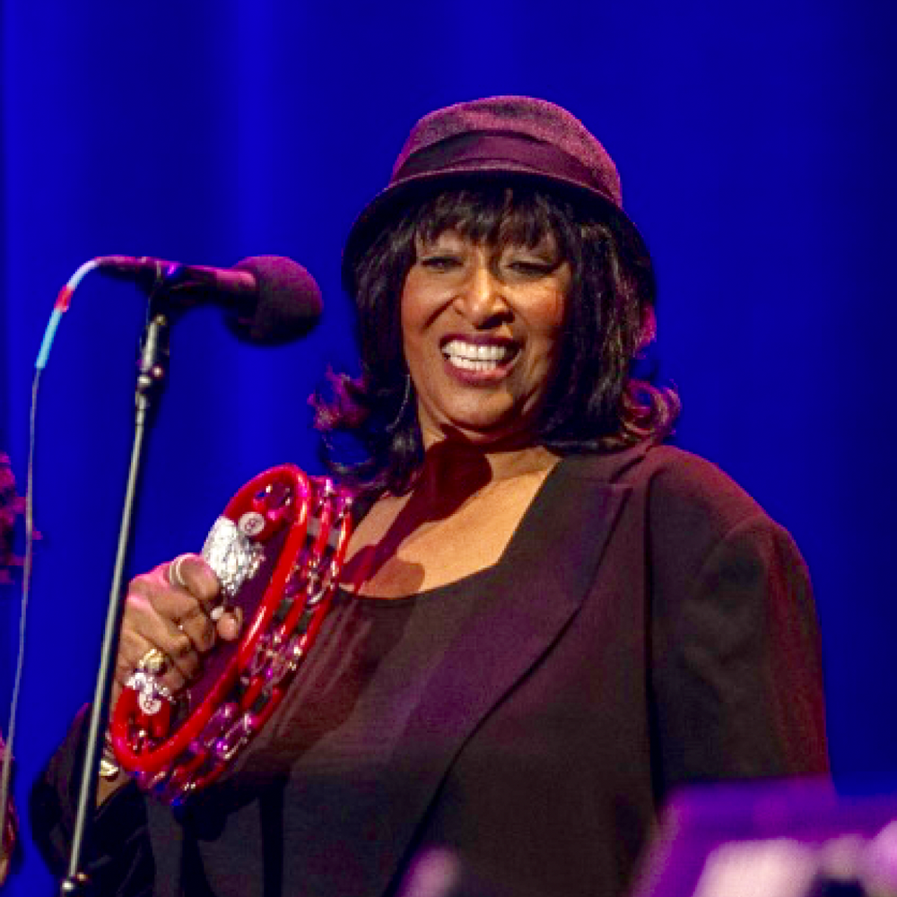 JOE CAZONE'S MAD DOG REDUX - Bio