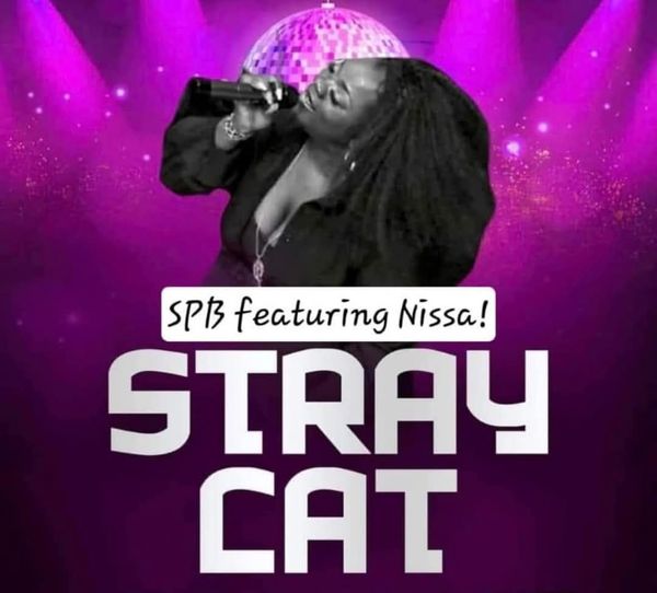 Our Band Live Show Performance | Sound Proof Band