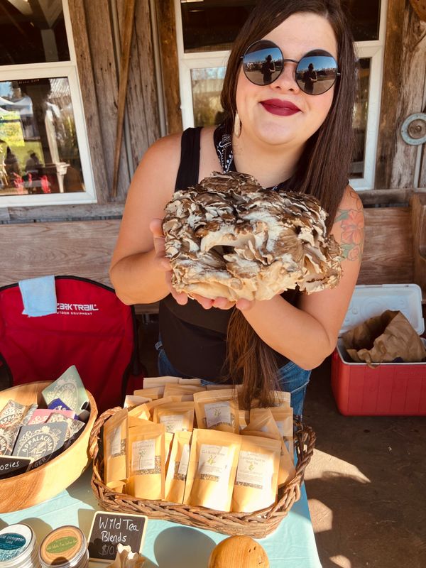 Appalachian Forager - My Events