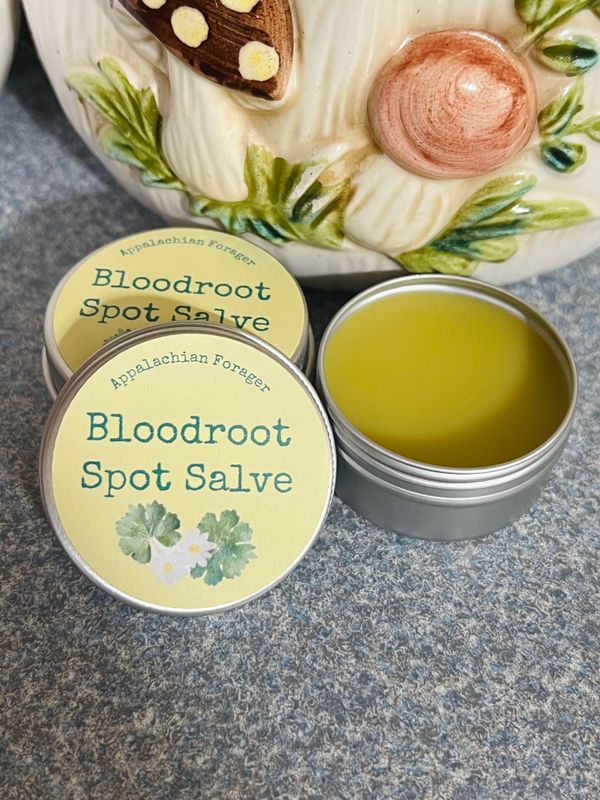 Appalachian Forager - My Store