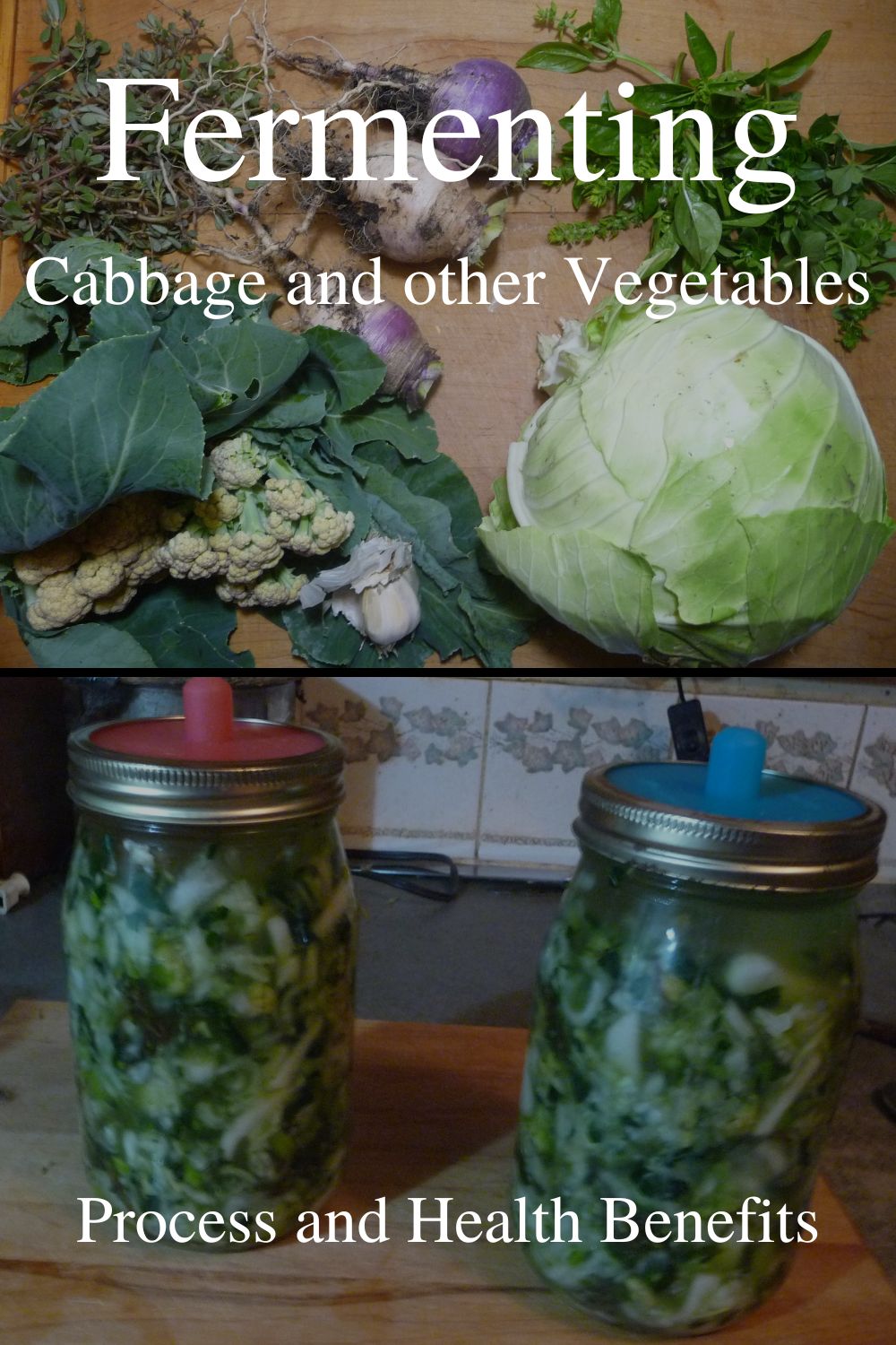 Fermenting cabbage and other vegetables - the Process, the Benefits