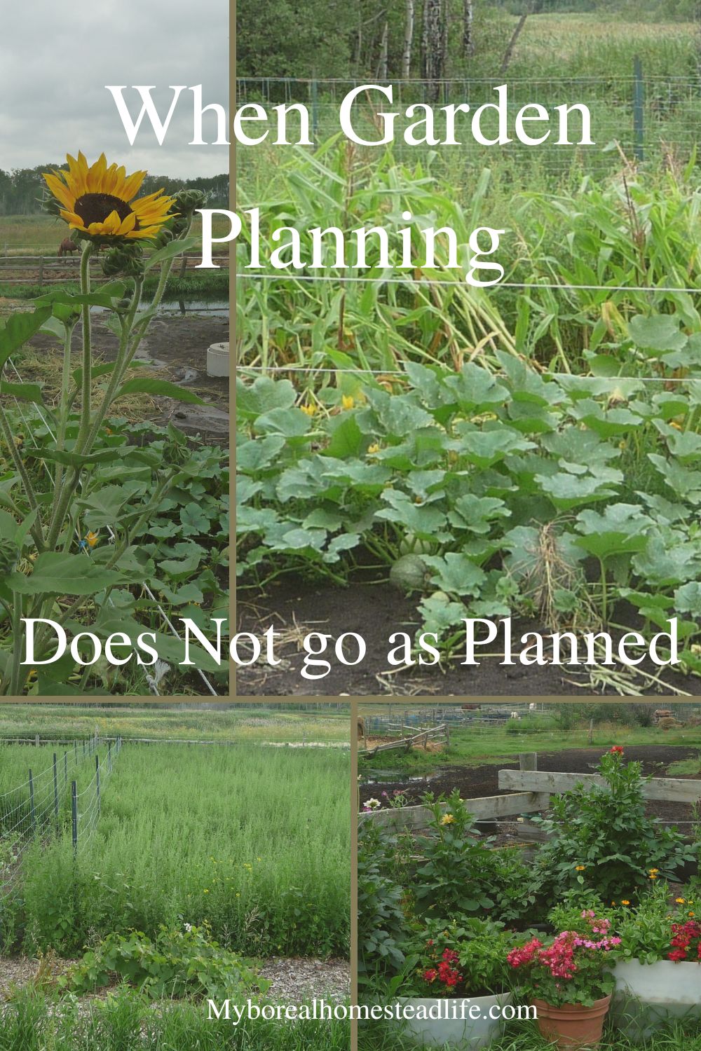 In the garden - When Garden Planning does Not go as Planned