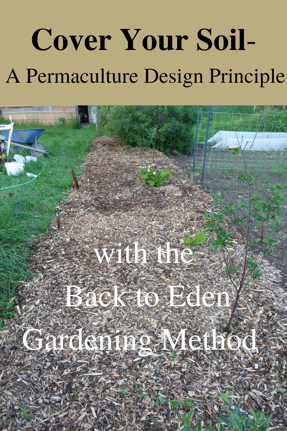 Achieving a Permaculture Design Principle with the Back to Eden ...