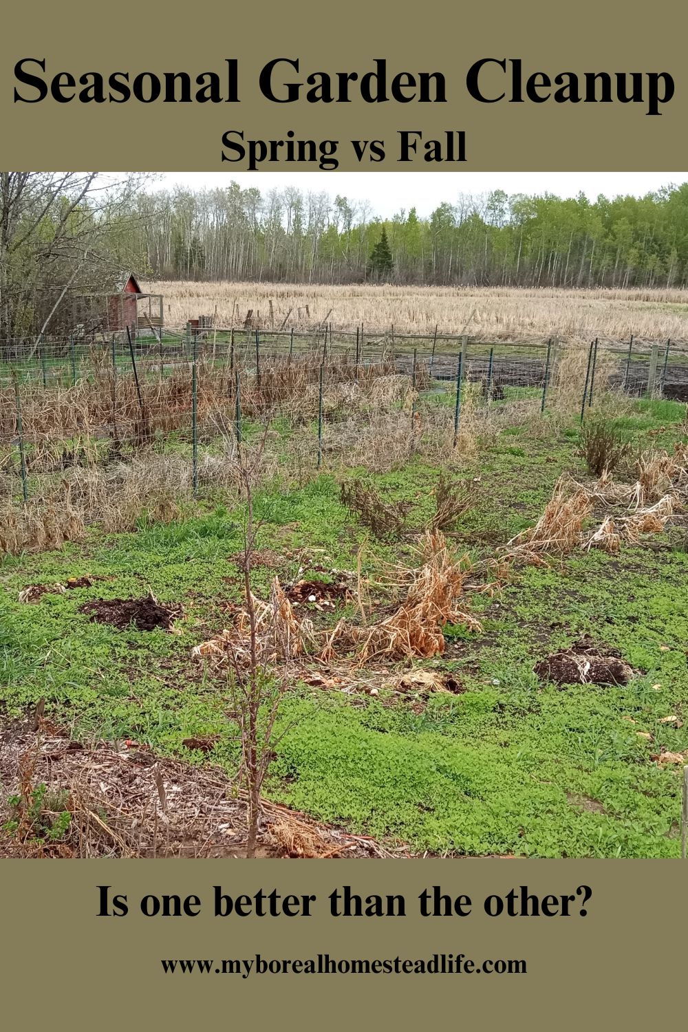 Seasonal Yard Clean up - Why I don't do much Fall Yard Clean up