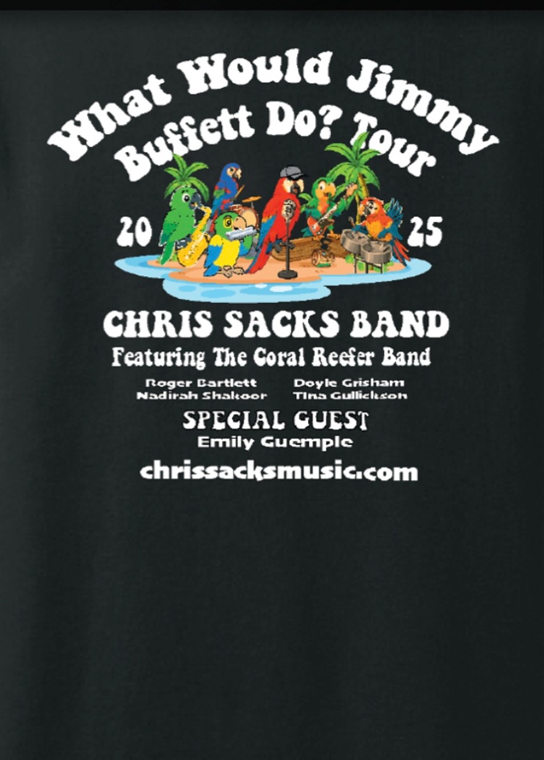 Chris Sacks Band