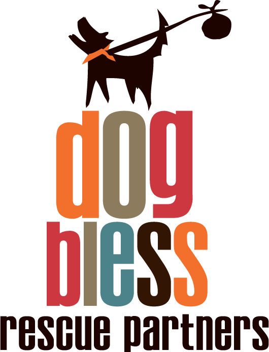 Dog Bless Rescue Partners - Adoptable Pets