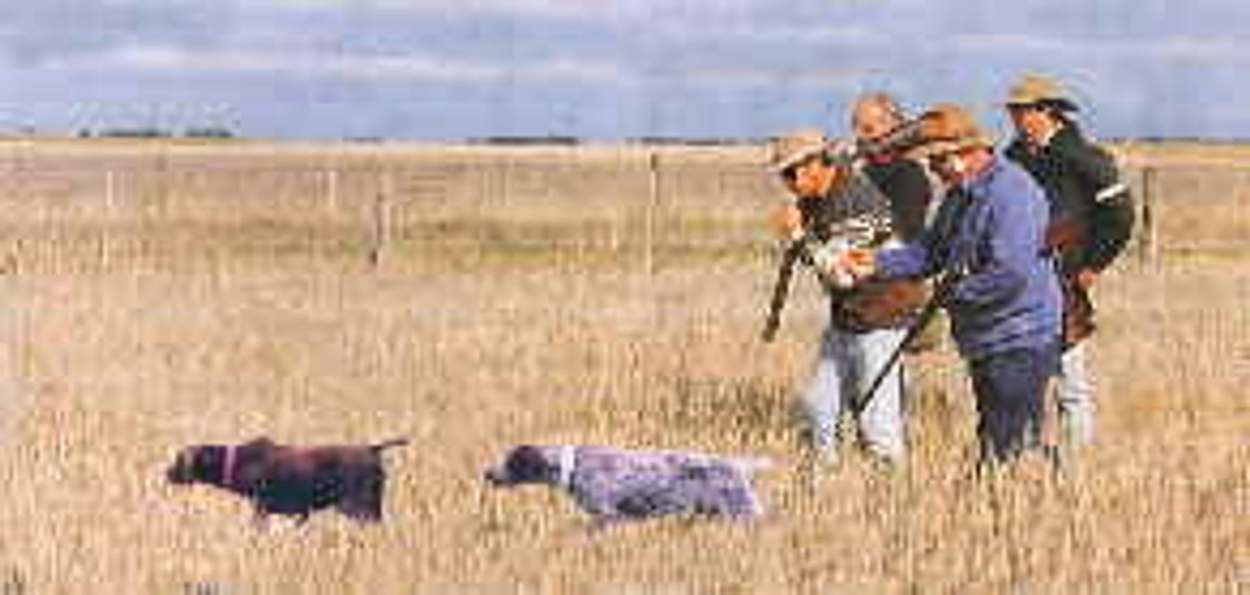 The German Shorthaired Pointer Club of Vic. Inc. - Field Trials