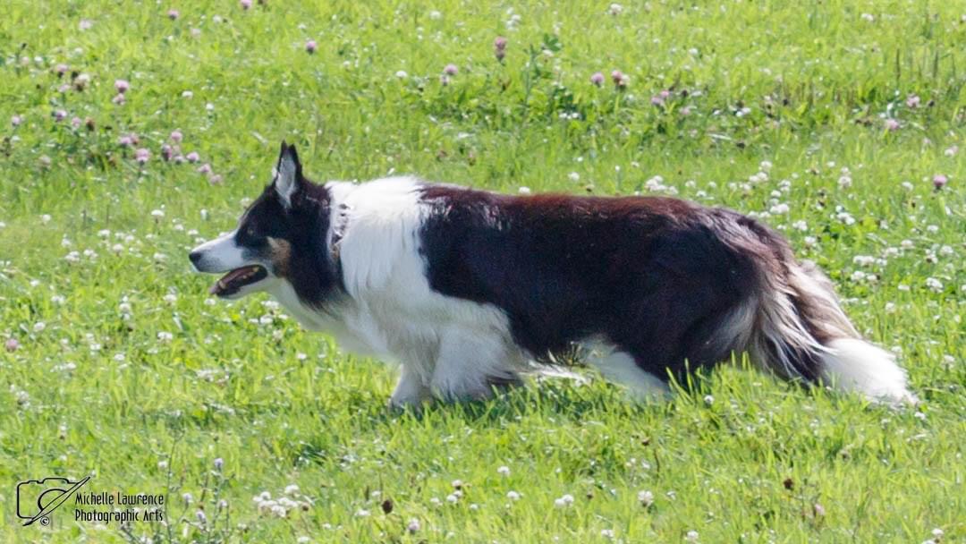 2023 Year End Awards - Open