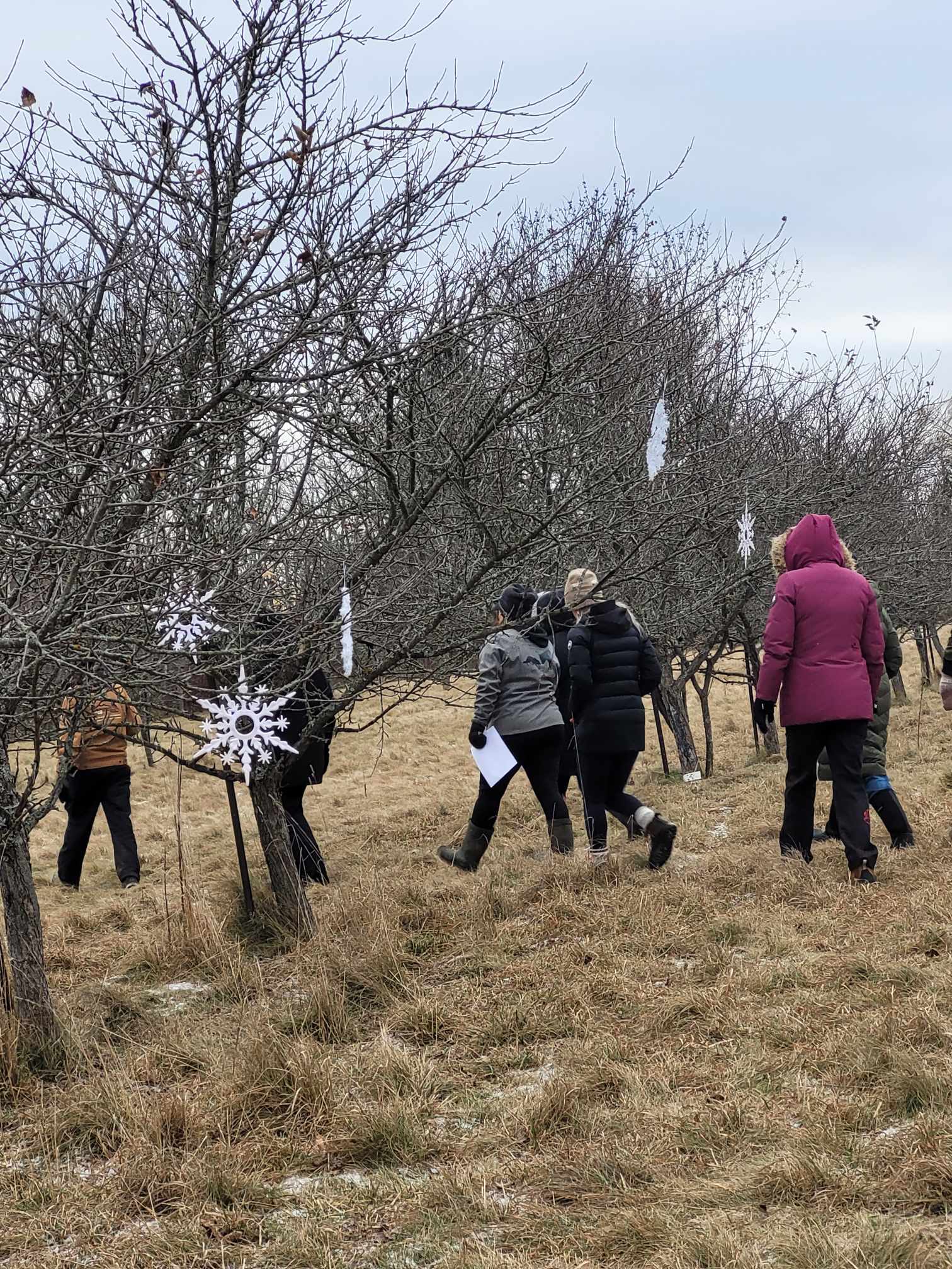 Applewood Ridge Farm - ‘Farm Chores’ Fun Day - November 2023