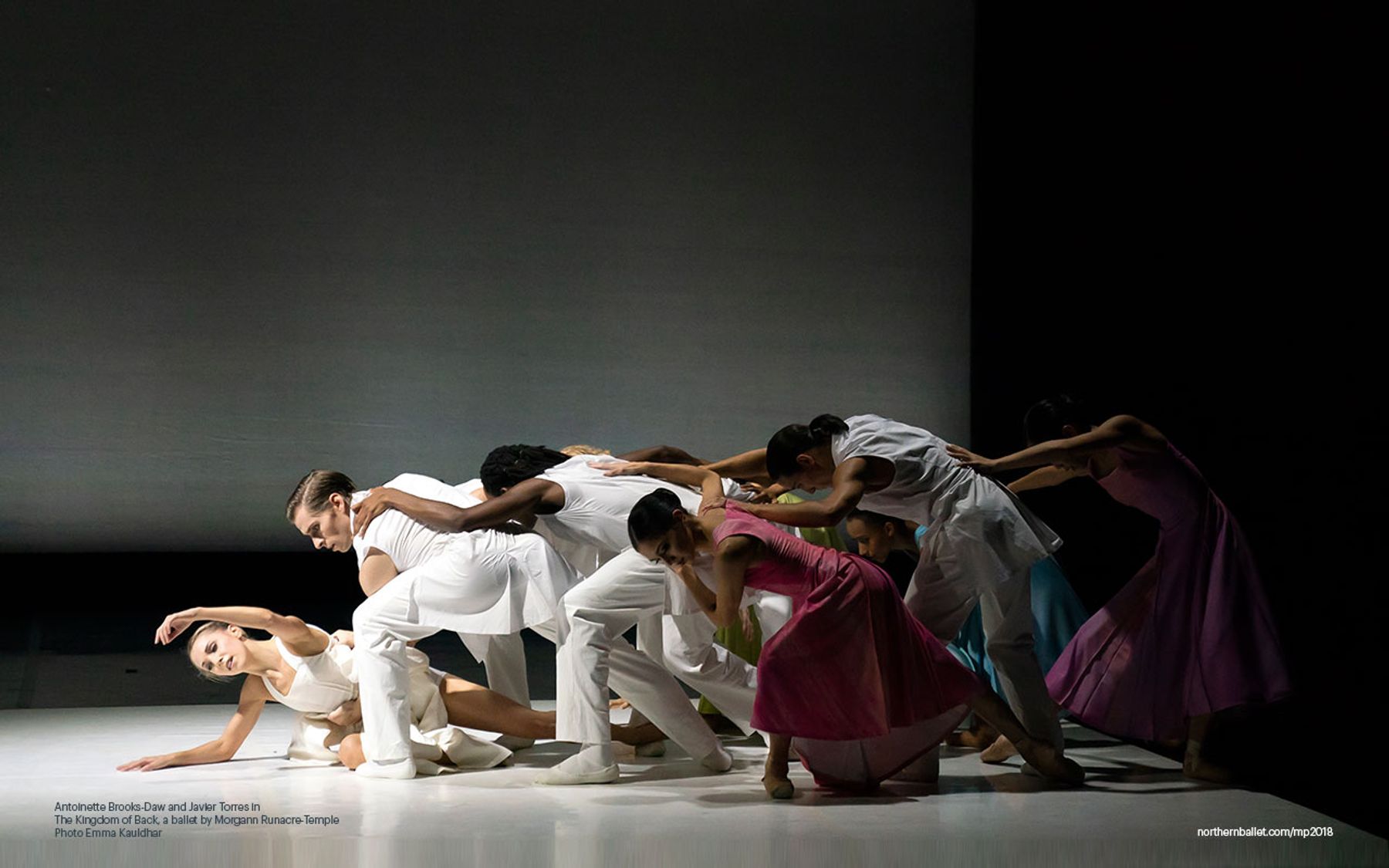 frank moon - THE KINGDOM OF BACK