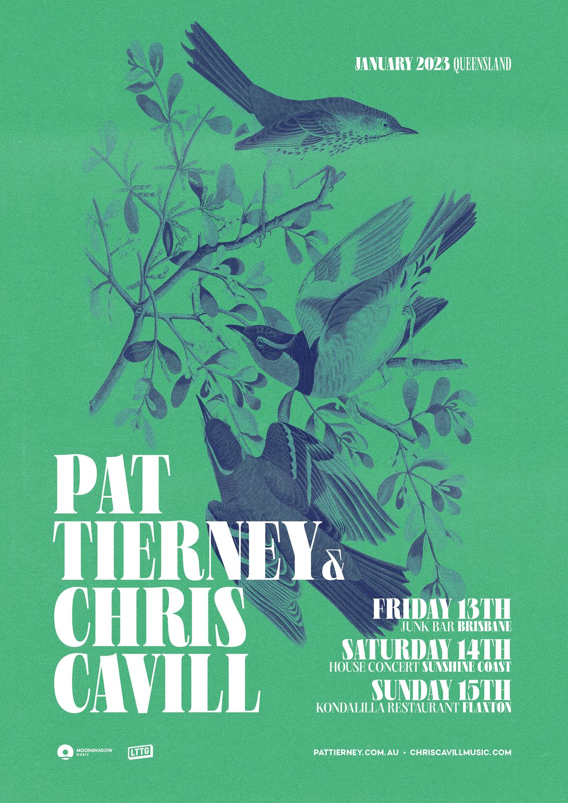 Pat Tierney - SHOWS