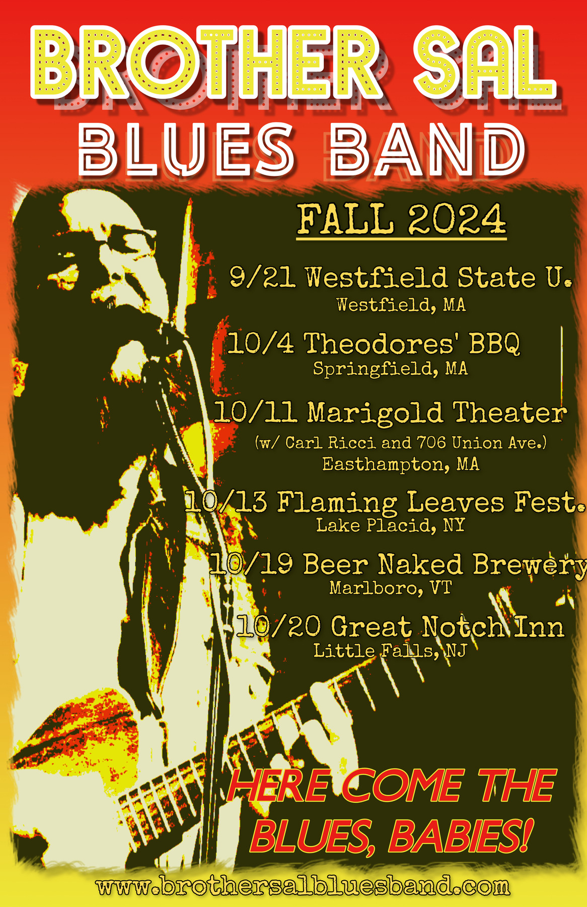 Brother Sal Blues Band