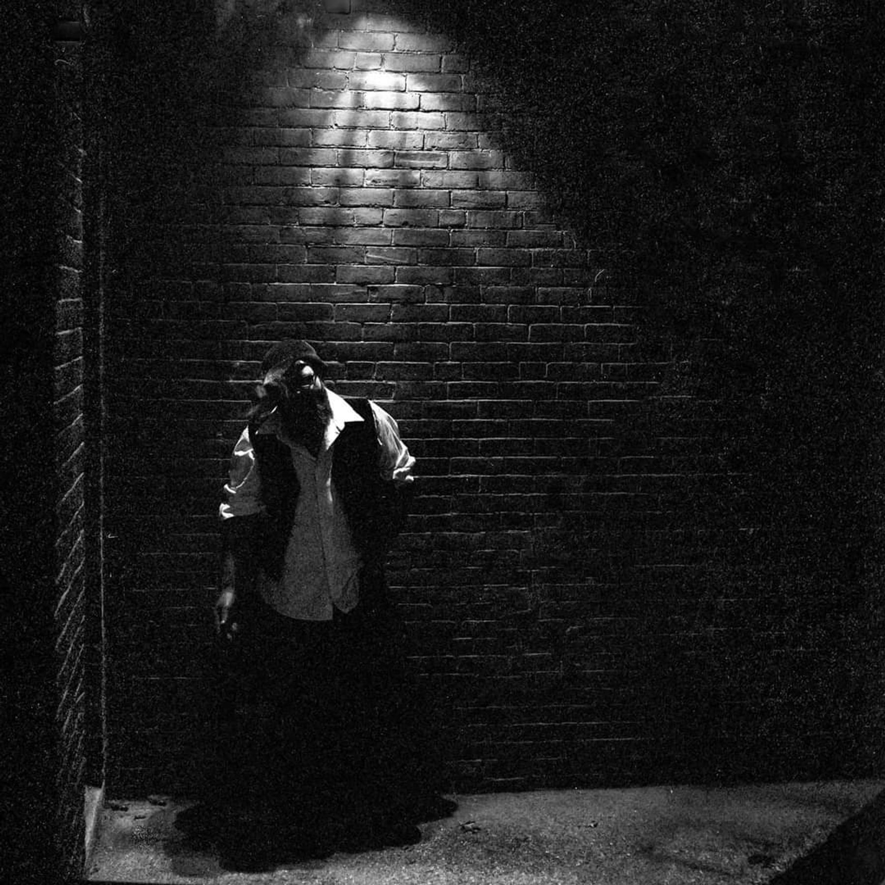 Brother Sal Blues Band - Bio