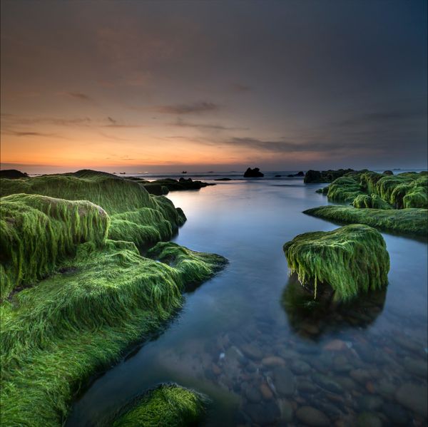 The Music of Laura Sullivan